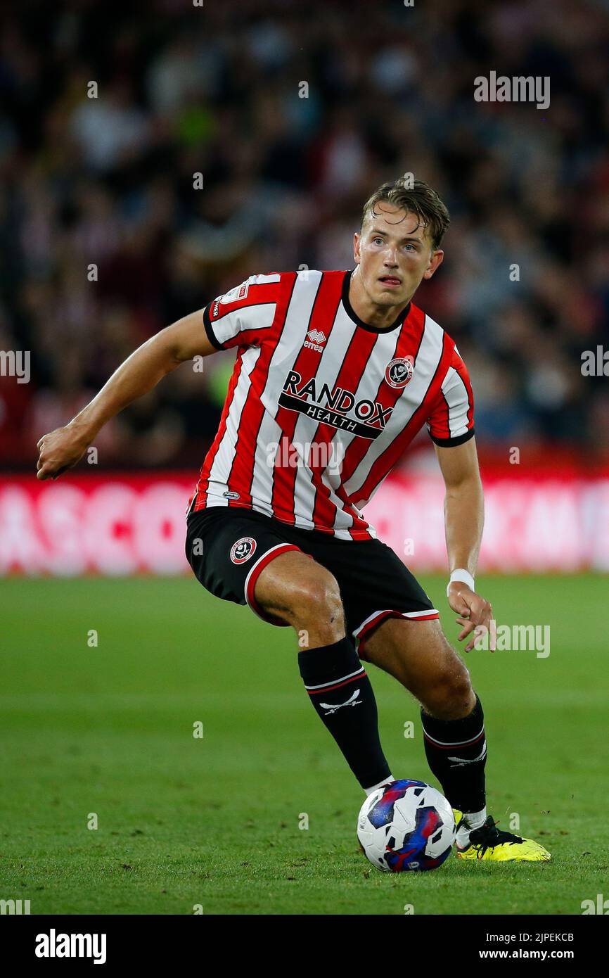 Sander Berge #8 of Sheffield United Stock Photo - Alamy