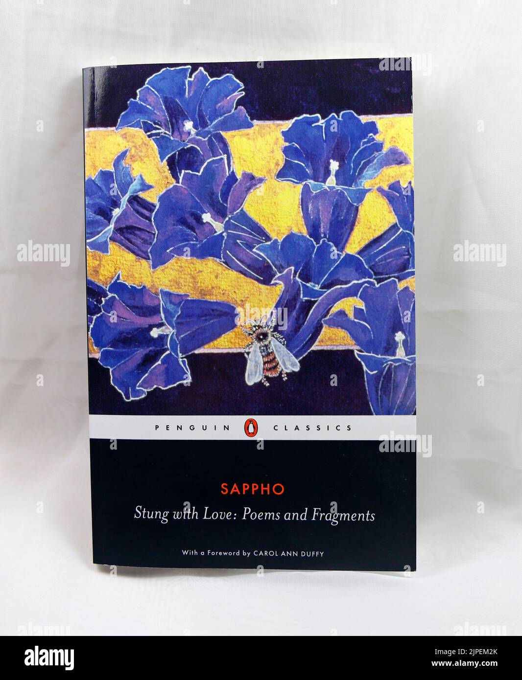 Sappho - Stung with Love: Poems and Fragments. Forward by Carol Anne ...