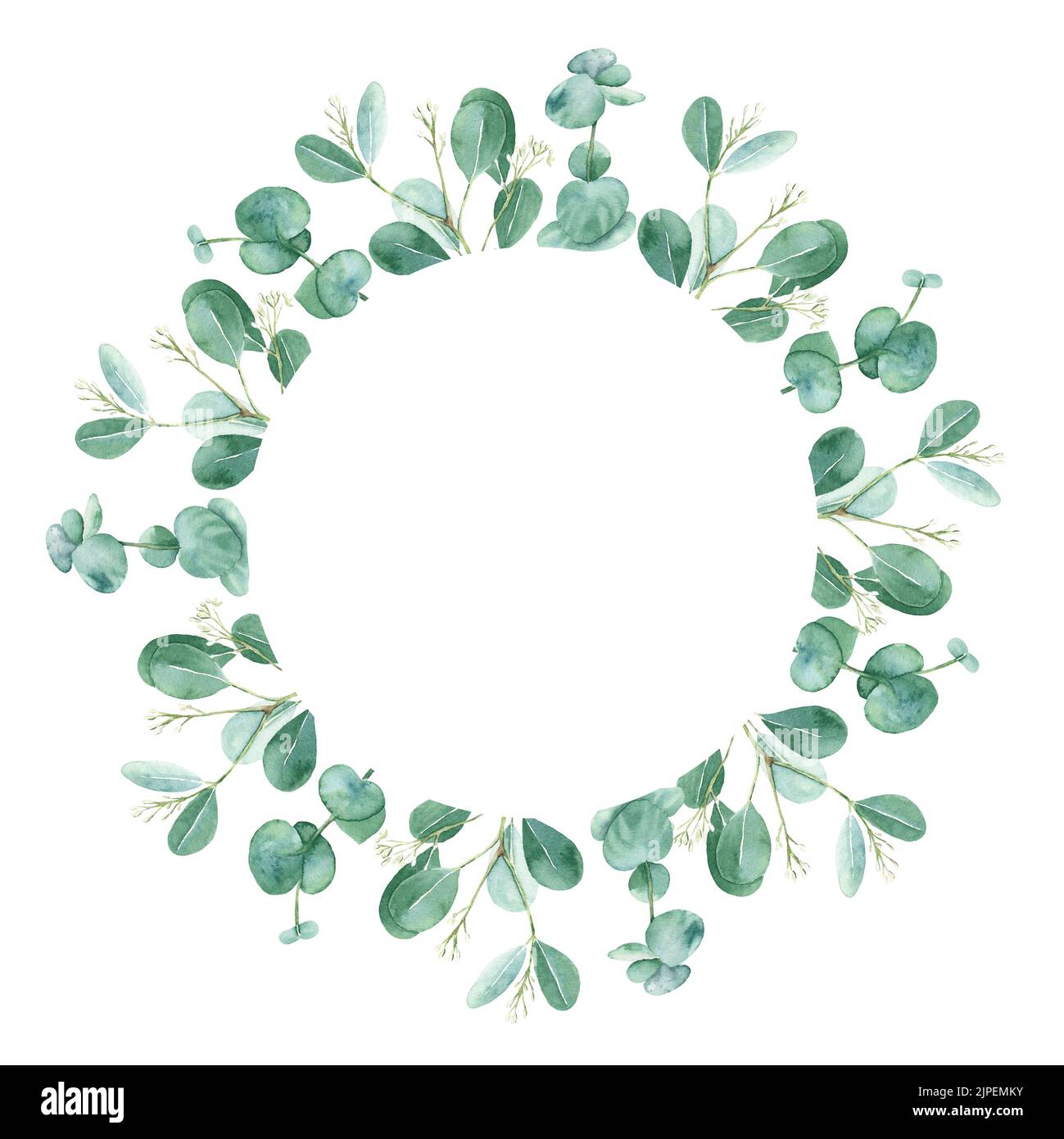 Watercolor eucalyptus round frame isolated on white background. Rustic ...