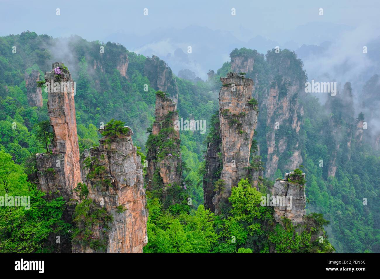 unesco world heritage, wulingyuan, sandstone pillar, hunan, unesco ...