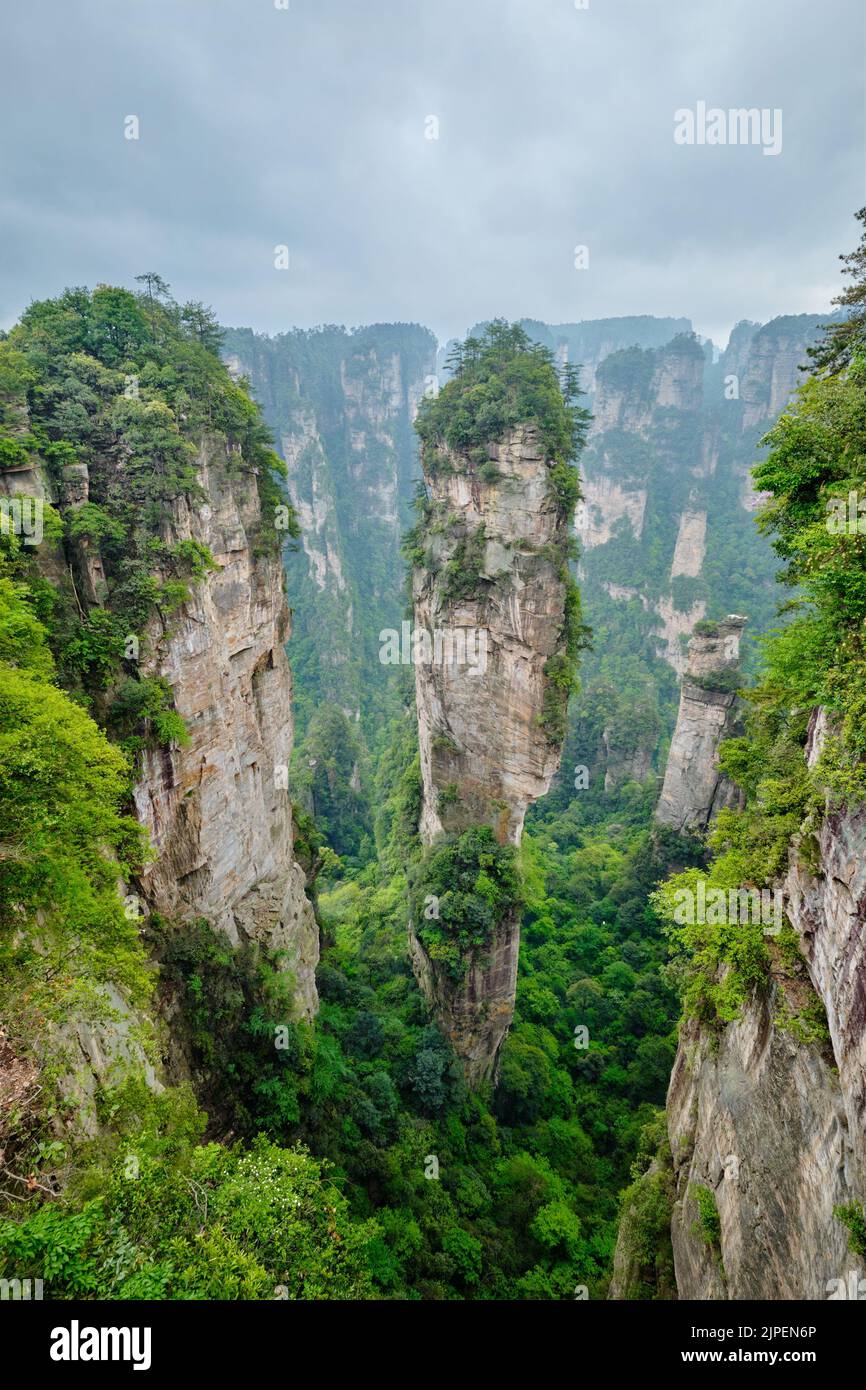 zhangjiajie national forest park, wulingyuan, sandstone pillar, hunan ...