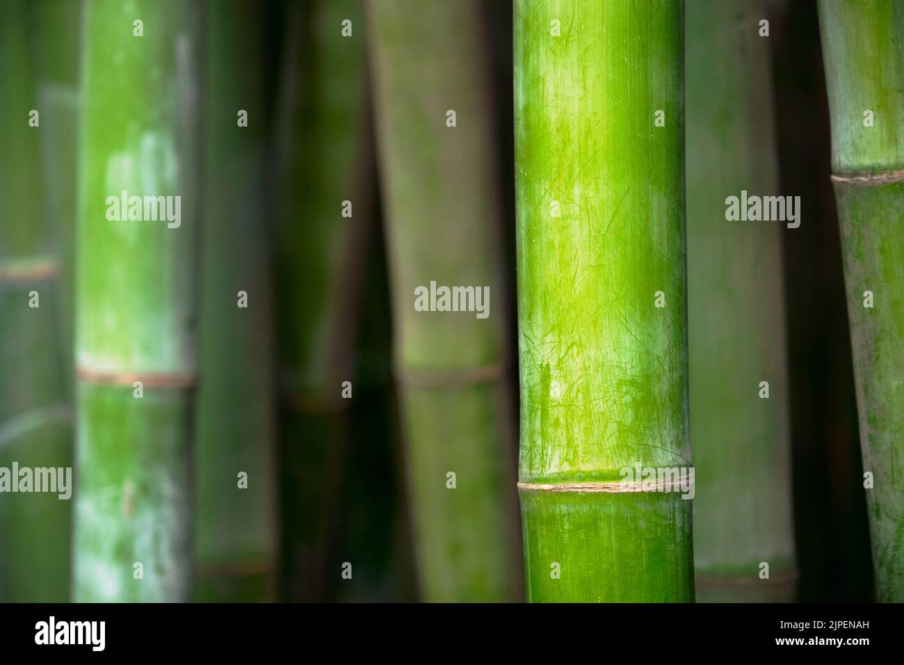 Bamboo object hi-res stock photography and images - Alamy