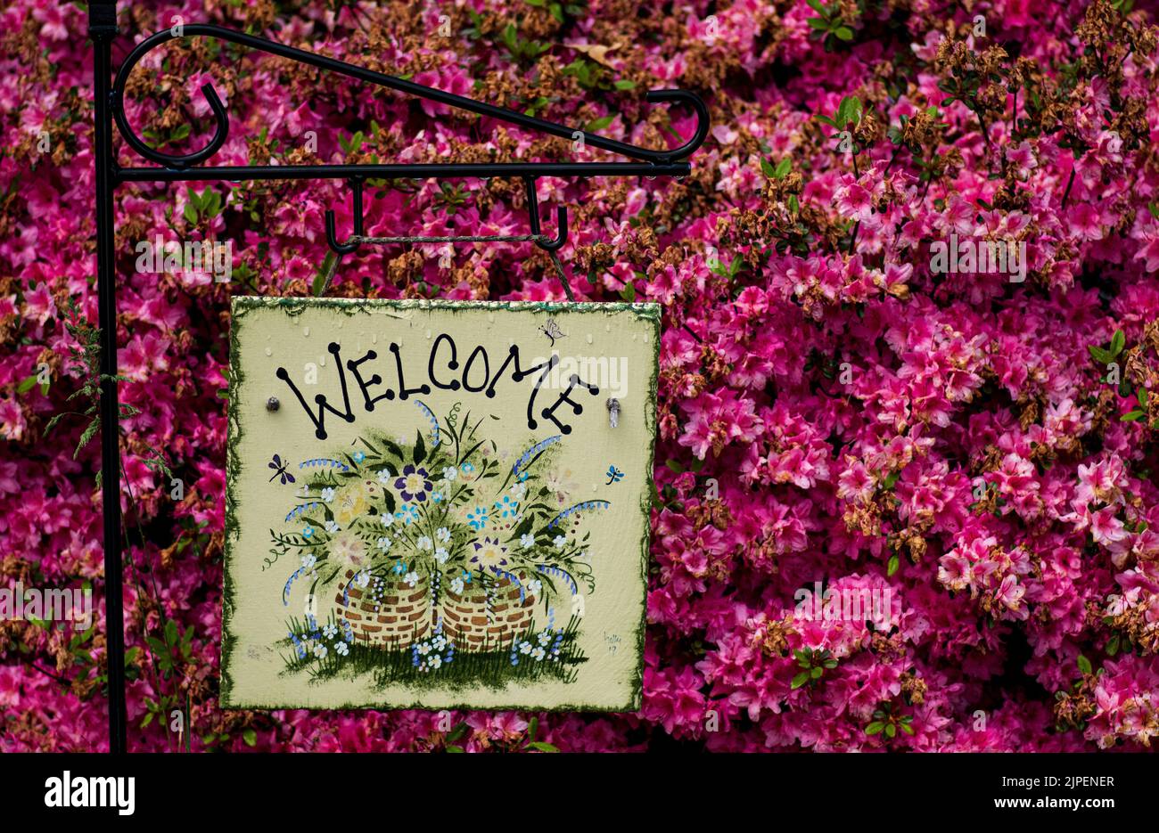 A closeup of a welcome sign in a garden with pink flowers Stock Photo ...
