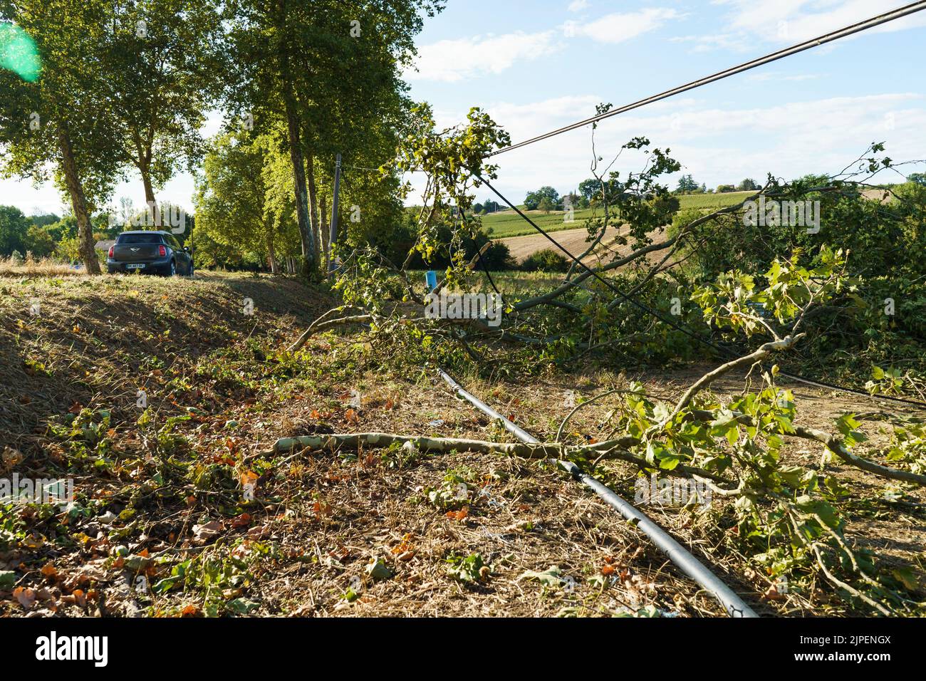 FRANCE: Weather - Telephone lines and poles are brought down by a storm ...