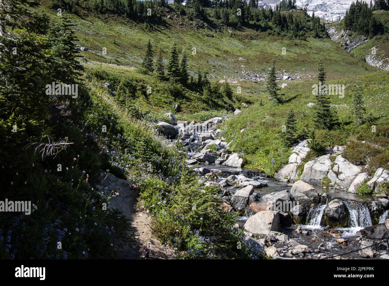 Creek on stones hi-res stock photography and images - Alamy