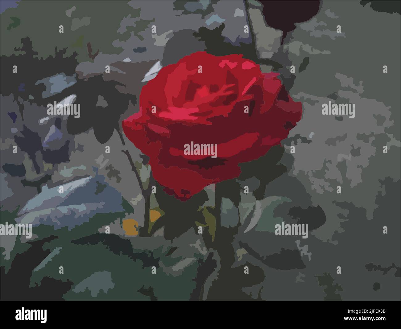 Rose texture night hi-res stock photography and images - Alamy