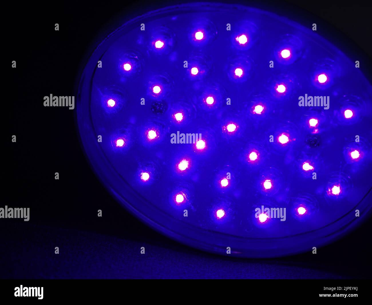 Infrared Light Equipment used for Anti Aging and to Treat Pain from ...