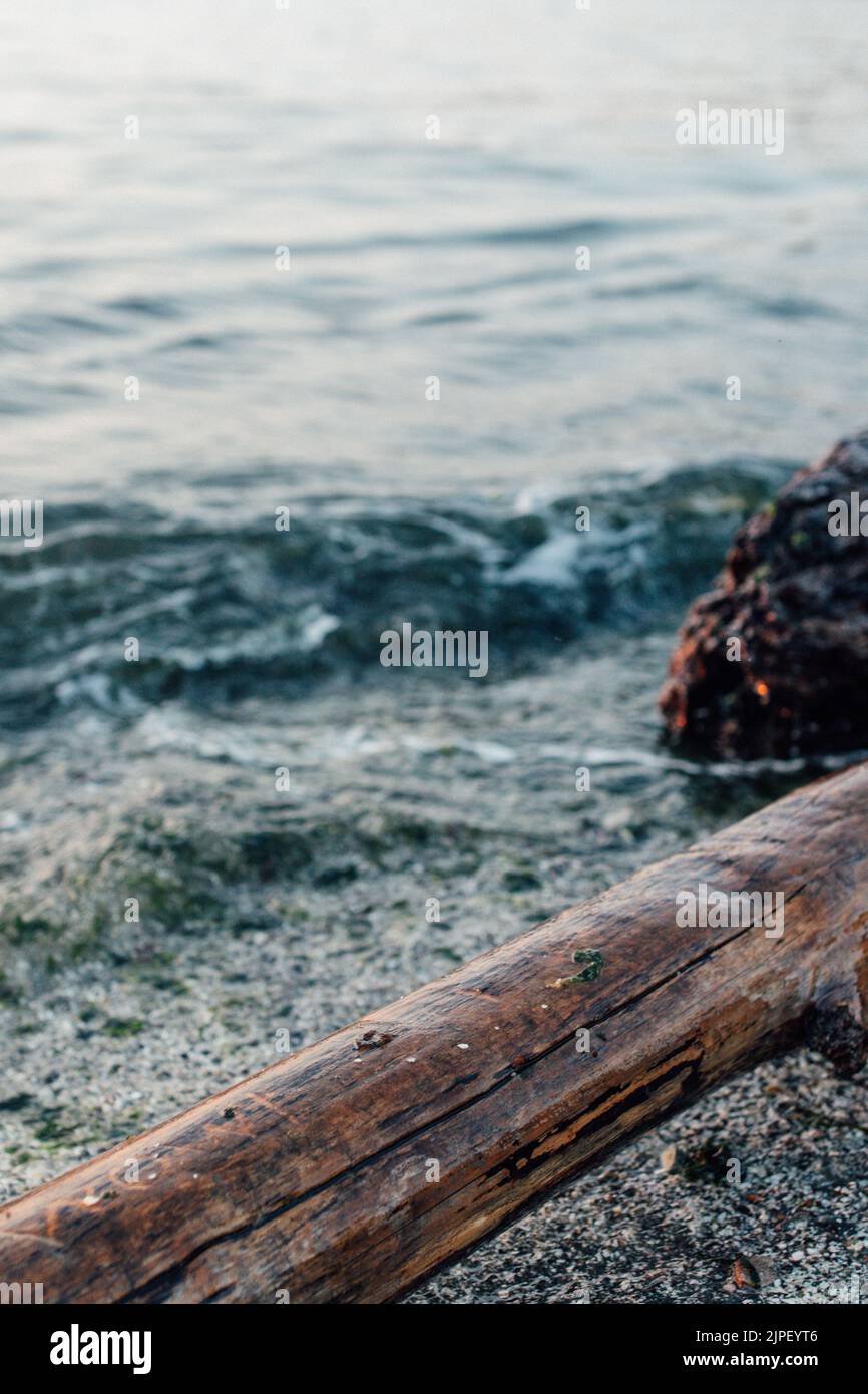driftwood, log on beach in Seattle Stock Photo - Alamy