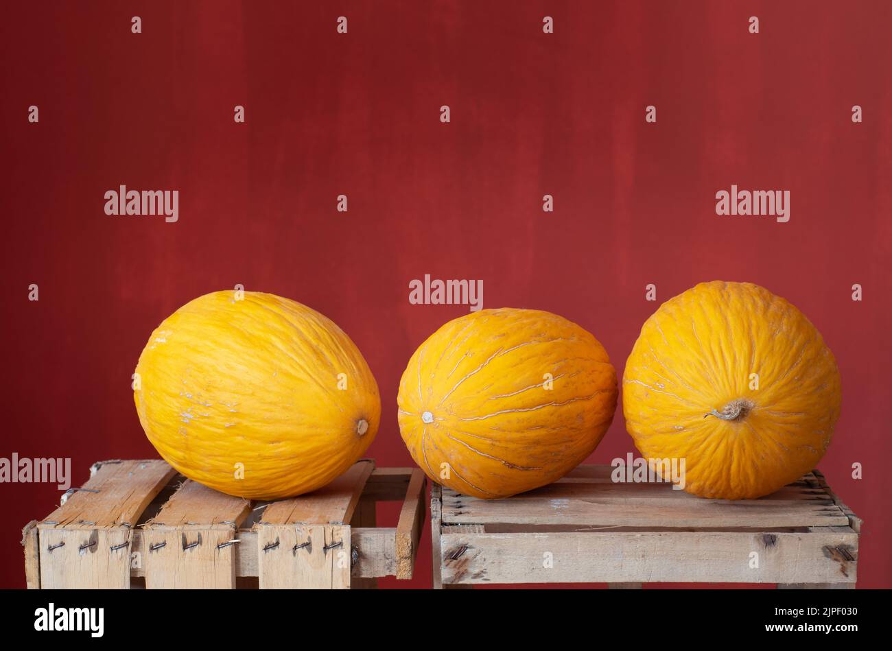 Three yellow ripe honeydew melons lie side by side on wooden crates for ...