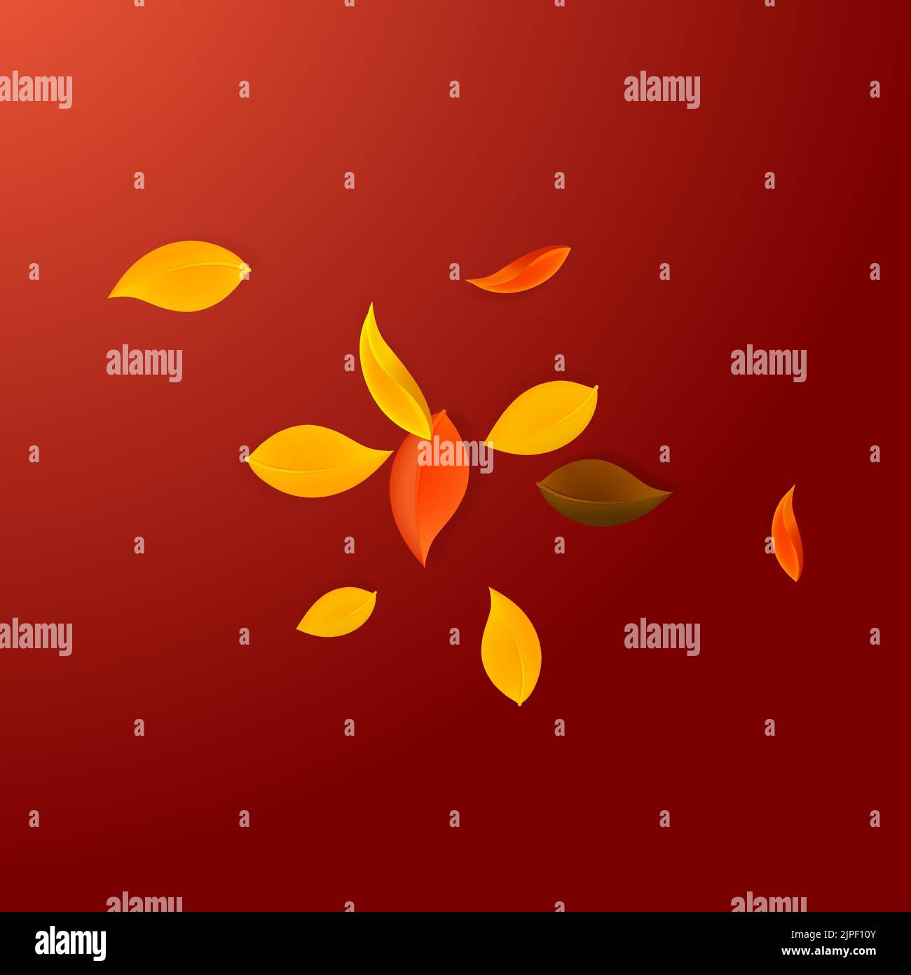 Falling autumn leaves. Red, yellow, green, brown neat leaves flying ...