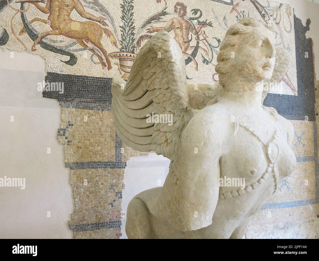 The Museum of Art & History in Orange is full of stone sculptures ...