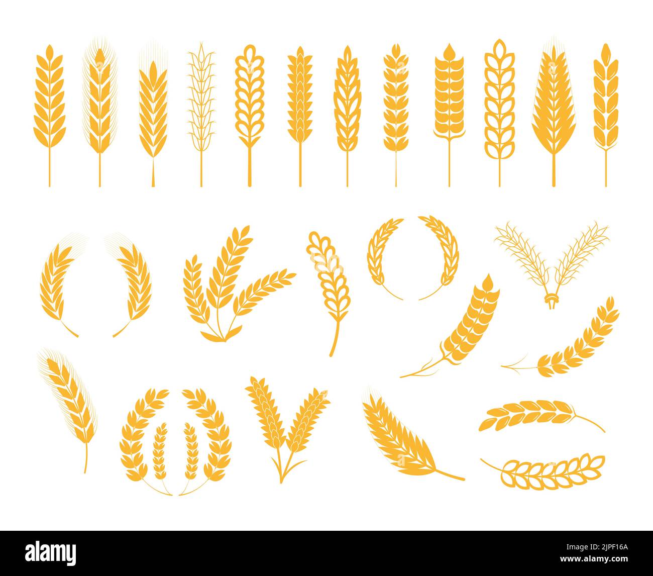Ears of wheat, ear of rye, spikelet set vector. Cereals plant icons in ...