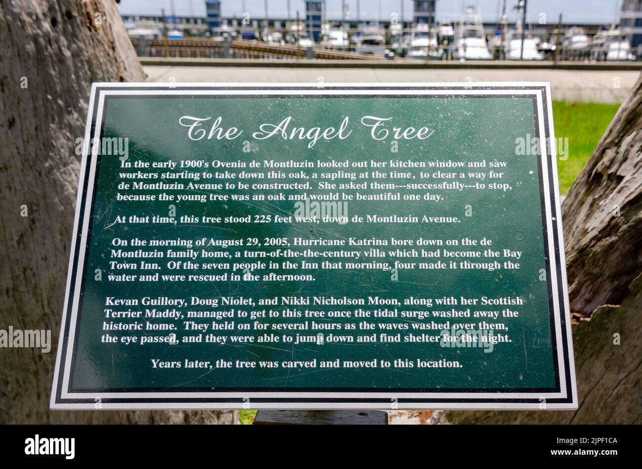 A plaque tells the story of the Angel Tree sculpture, Aug. 13, 2022, in ...