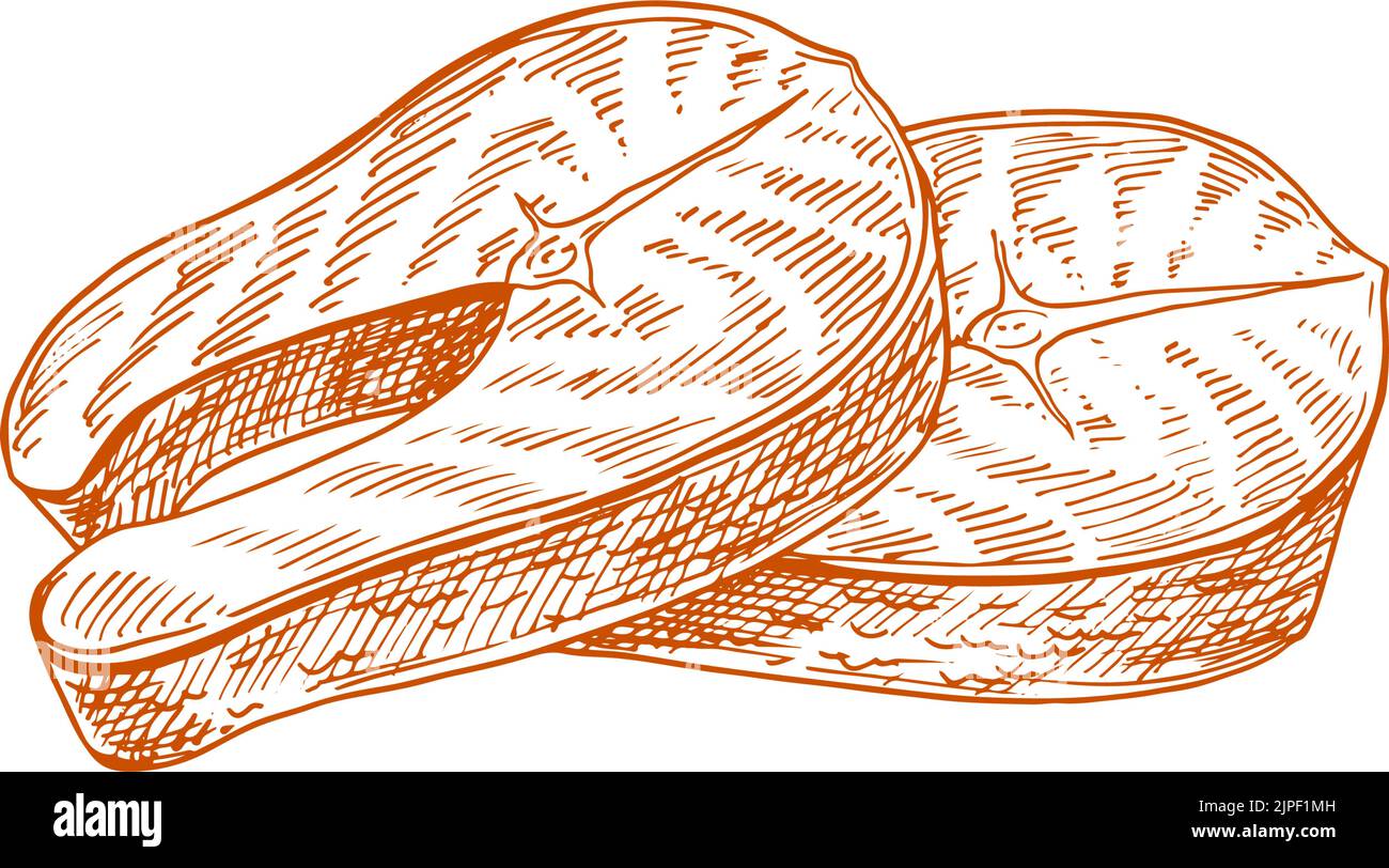 Salmon piece of red fish isolated food sketch. Vector marine seafood ...