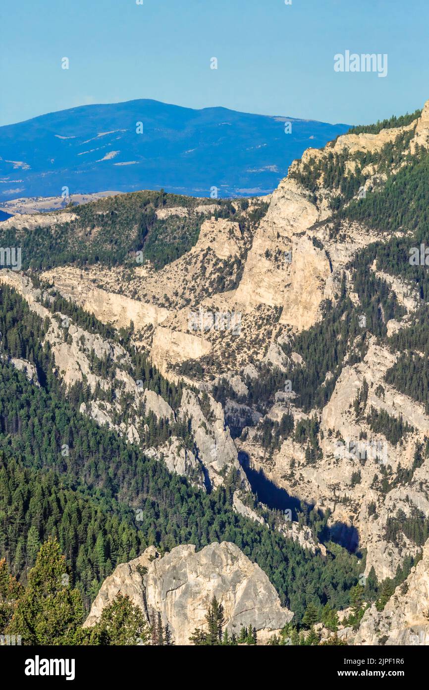 beaver creek canyon in helena national forest near york, montana Stock ...