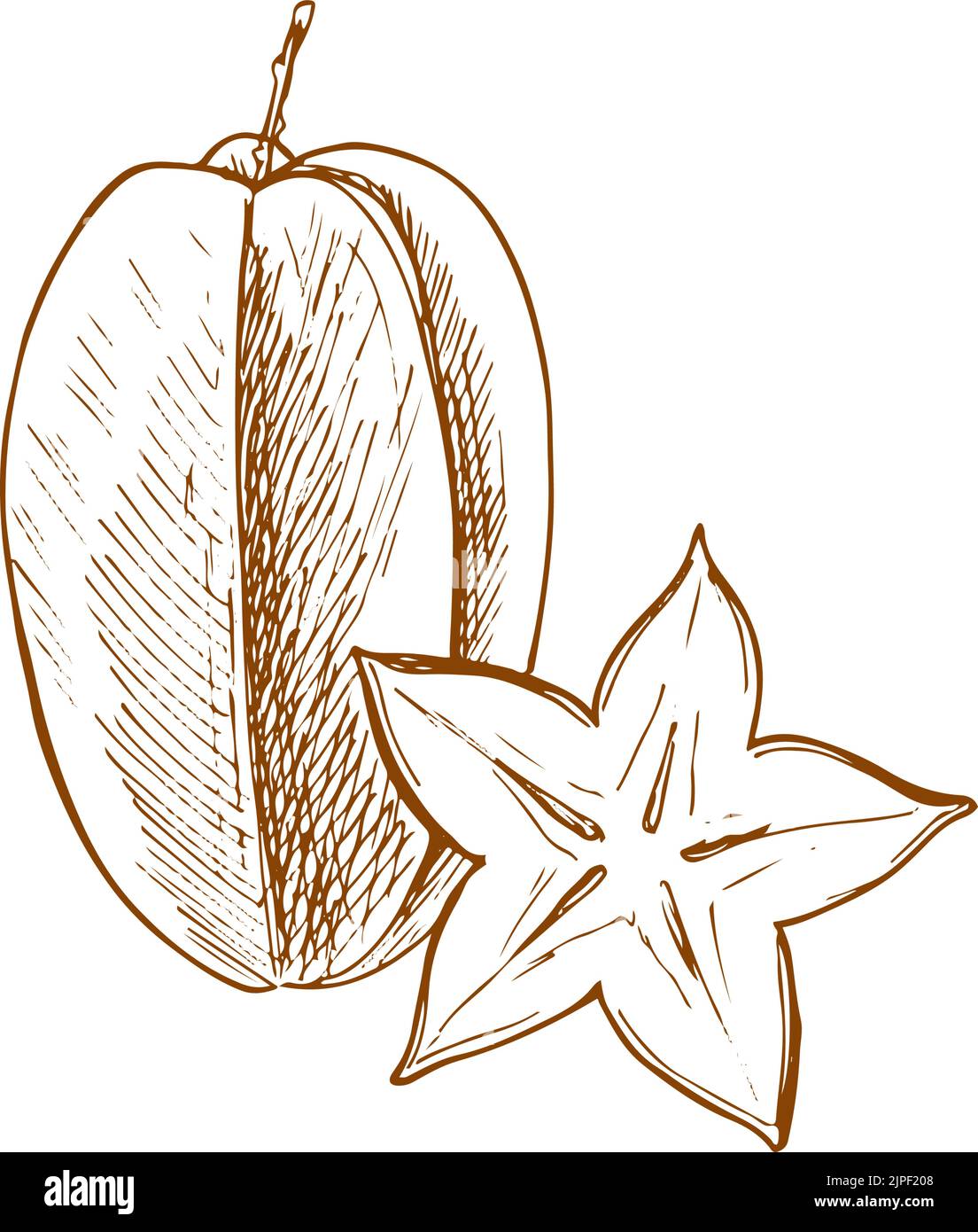 Starfruit isolated carambola sketch. Vector star shape slice of exotic ...