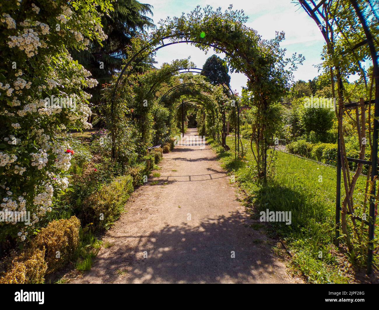 A beautiful view of a path through the garden with flowers and plants ...