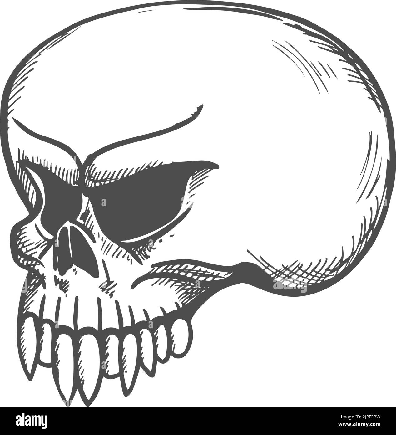 Skull with sharp demonic teeth isolated monochrome sketch. Vector dead ...