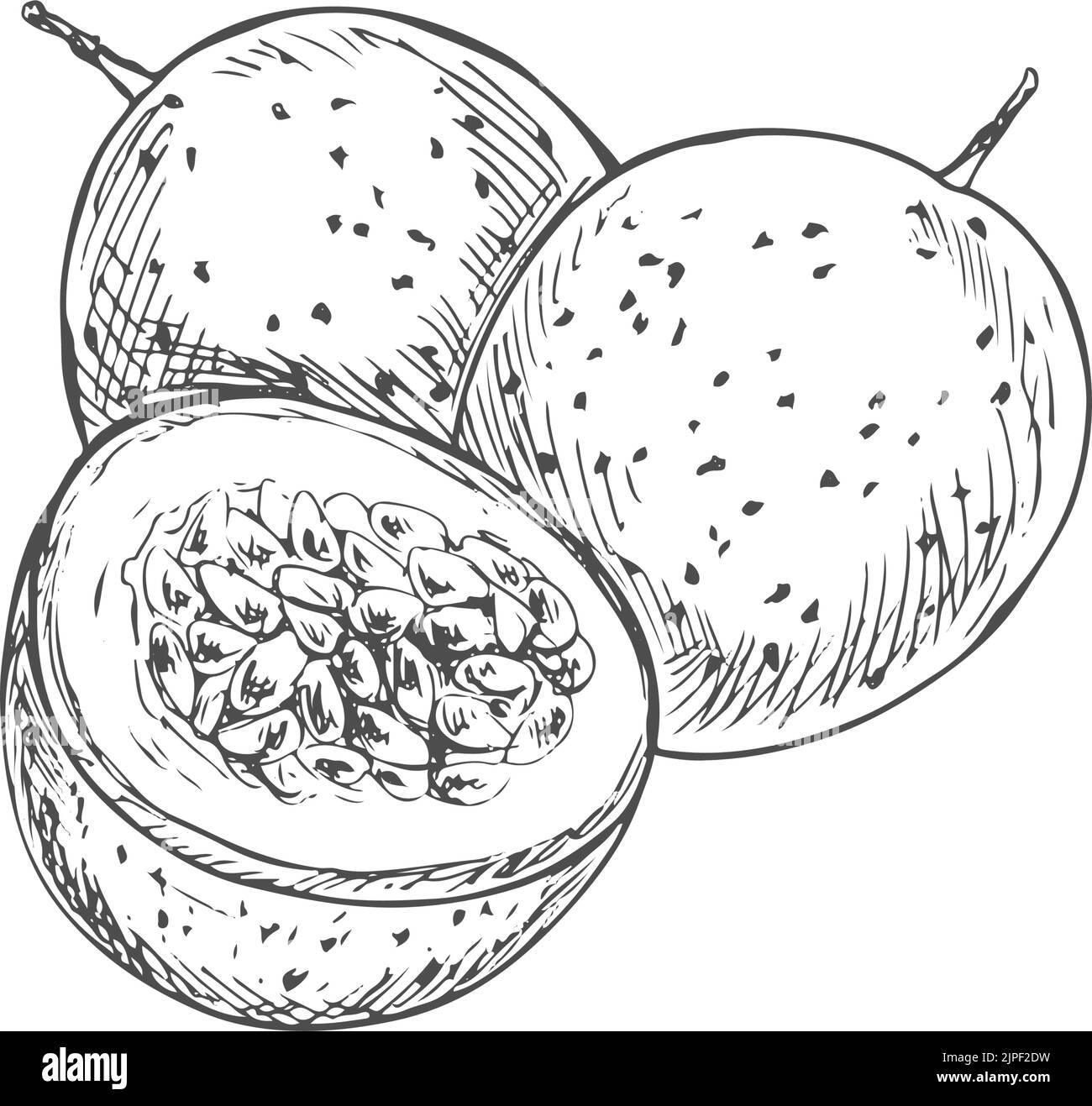 Maracuya isolated whole and cut passion fruit sketch. Vector cross ...