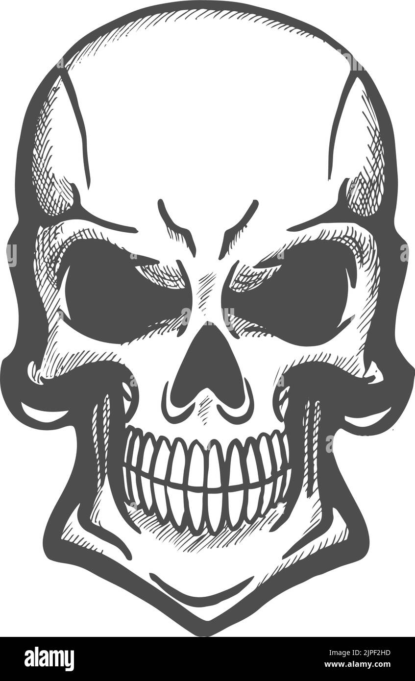 Skull human skeleton head isolated sketch. Vector death symbol, tattoo ...
