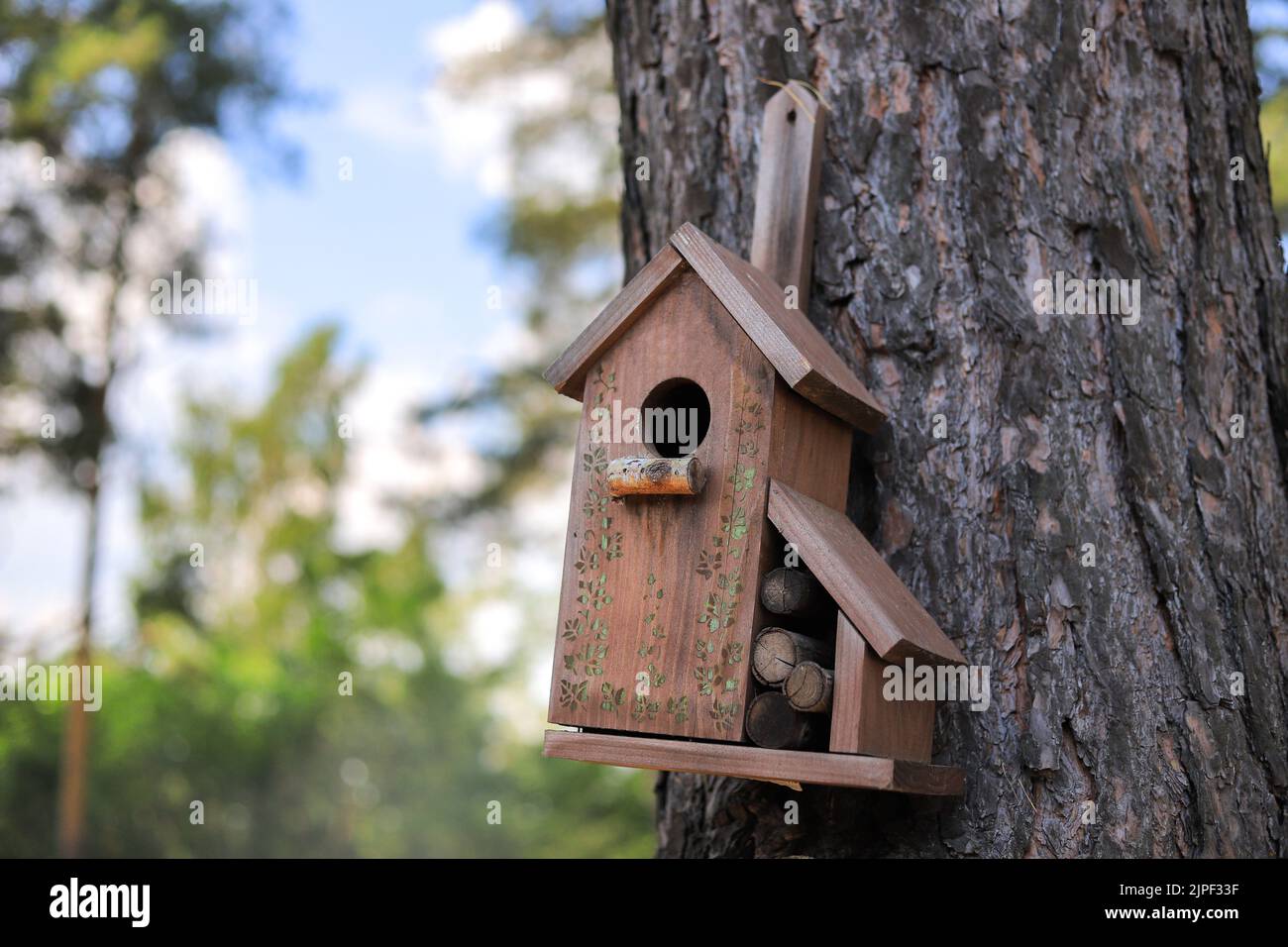 Birdhouse forest home hi-res stock photography and images - Alamy