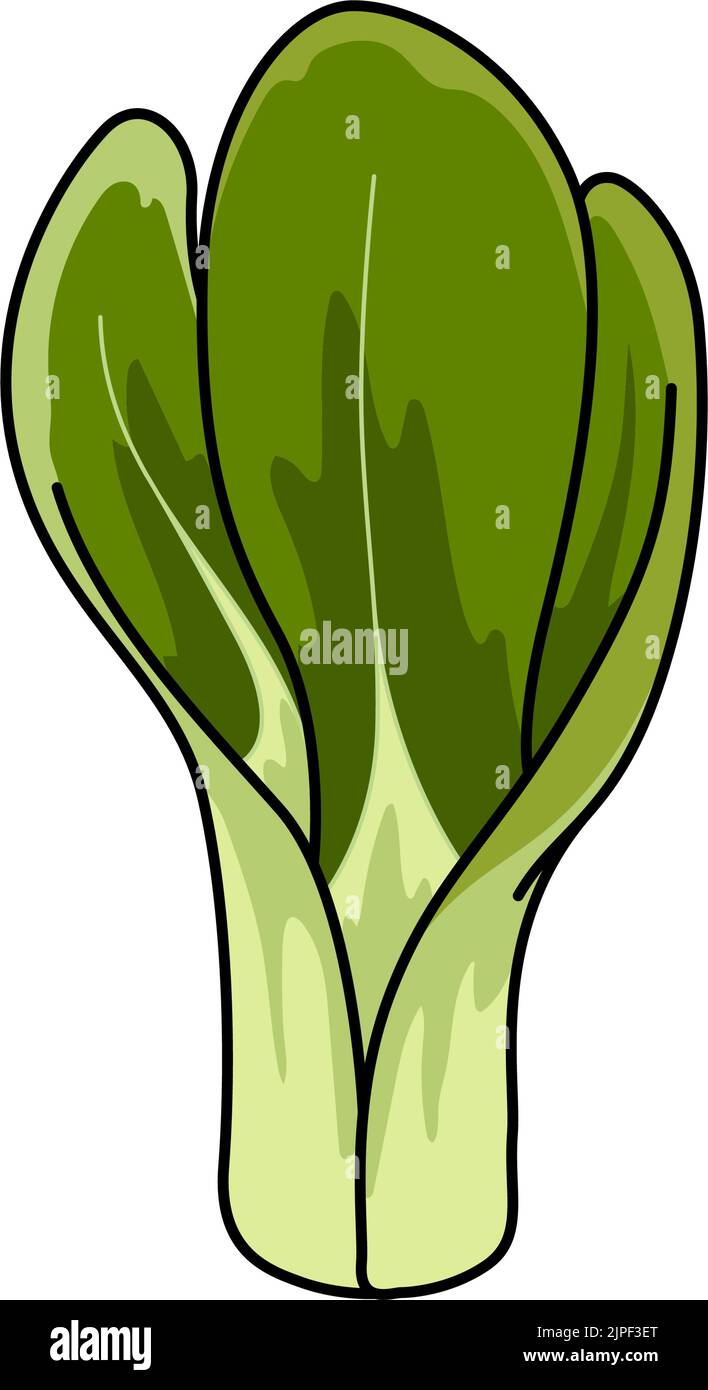 Bok choi and cooking Stock Vector Images - Alamy