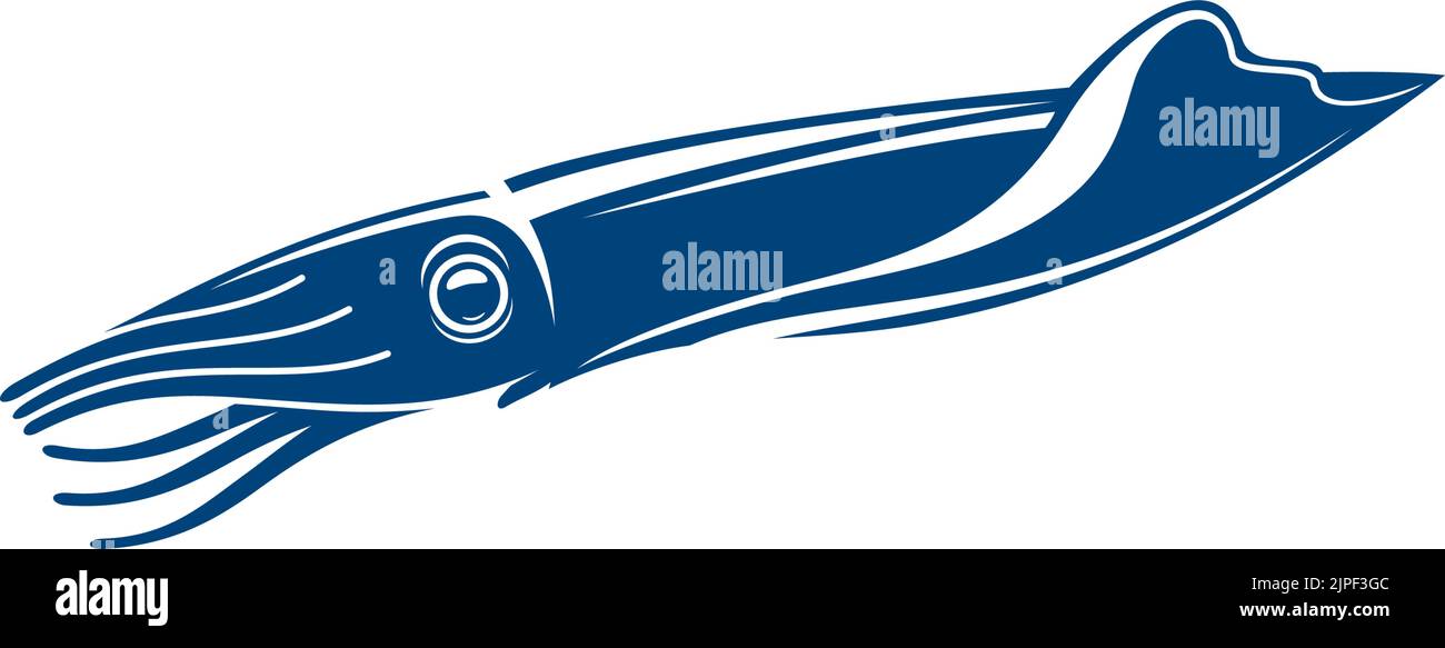 Armhooked squid isolated Decapodiformes marine animal. Vector ...