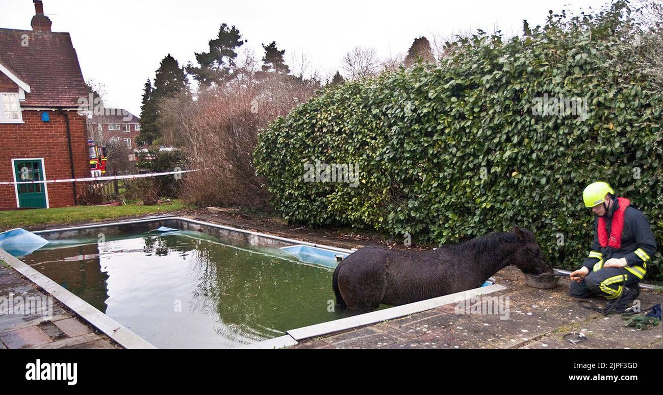 A FIREMAN COMFORTS MISCHIEF WHO IS STUCK IN THE SWIMMING POOL AT ...