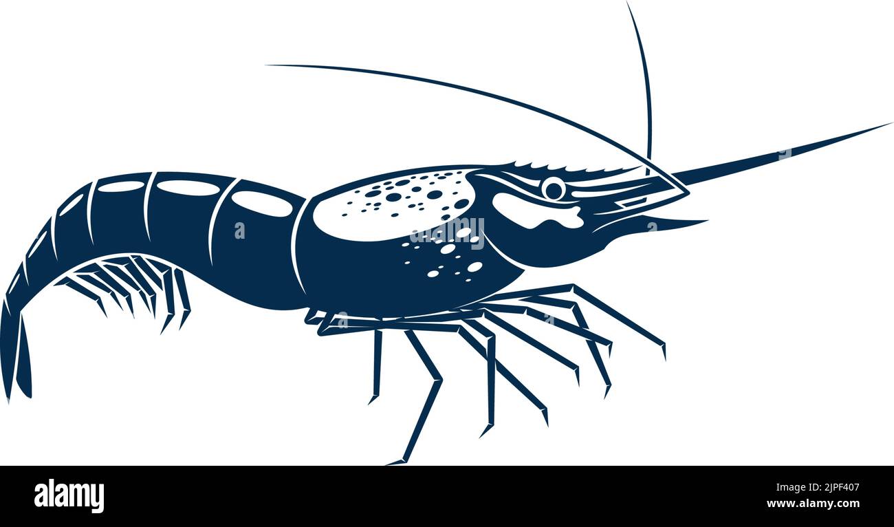 Shrimp with whiskers isolated underwater animal. Vector king prawn ...