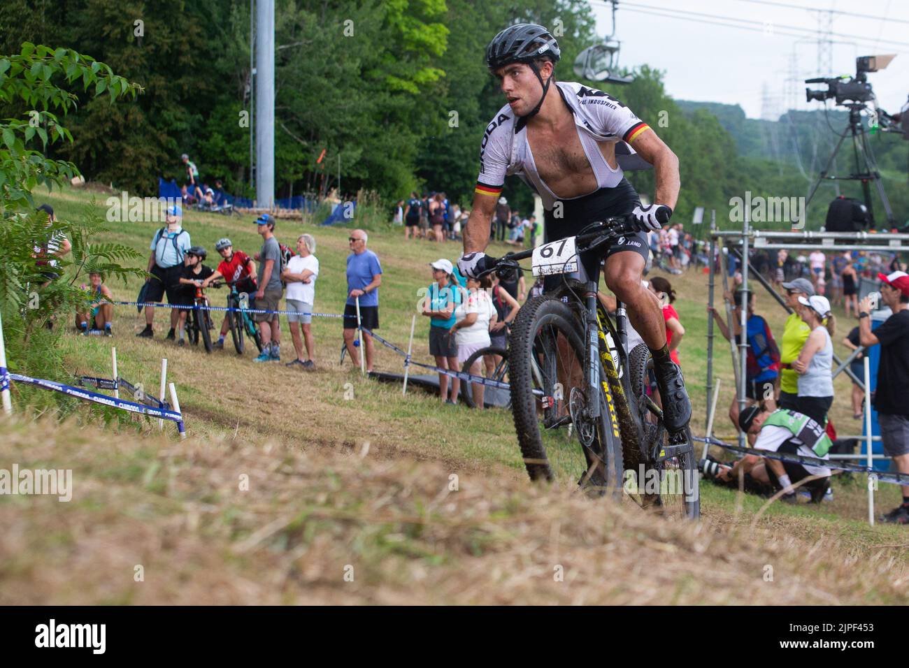 Marderabwehr hi-res stock photography and images - Alamy