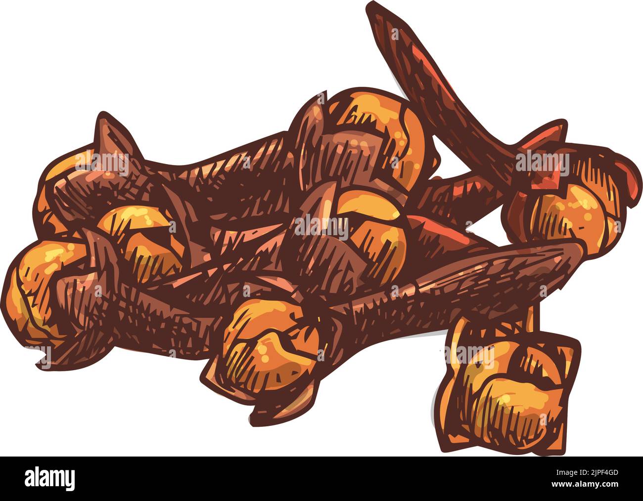 Cloves aromatic dried flowers isolated kitchen condiment. Vector ...
