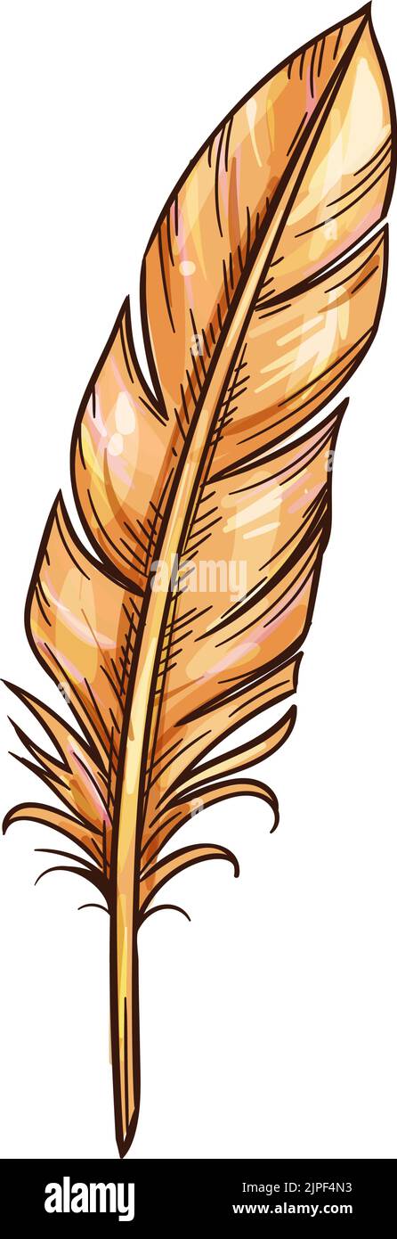 Feather quill vector sketch icon. Feather pen or vintage literature and ...