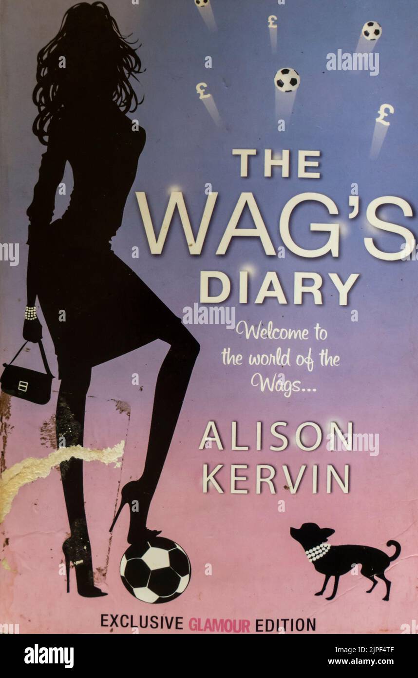 The Wag's Diary - Alison Kervin - 2008 - 1st edition book cover Stock Photo - Alamy