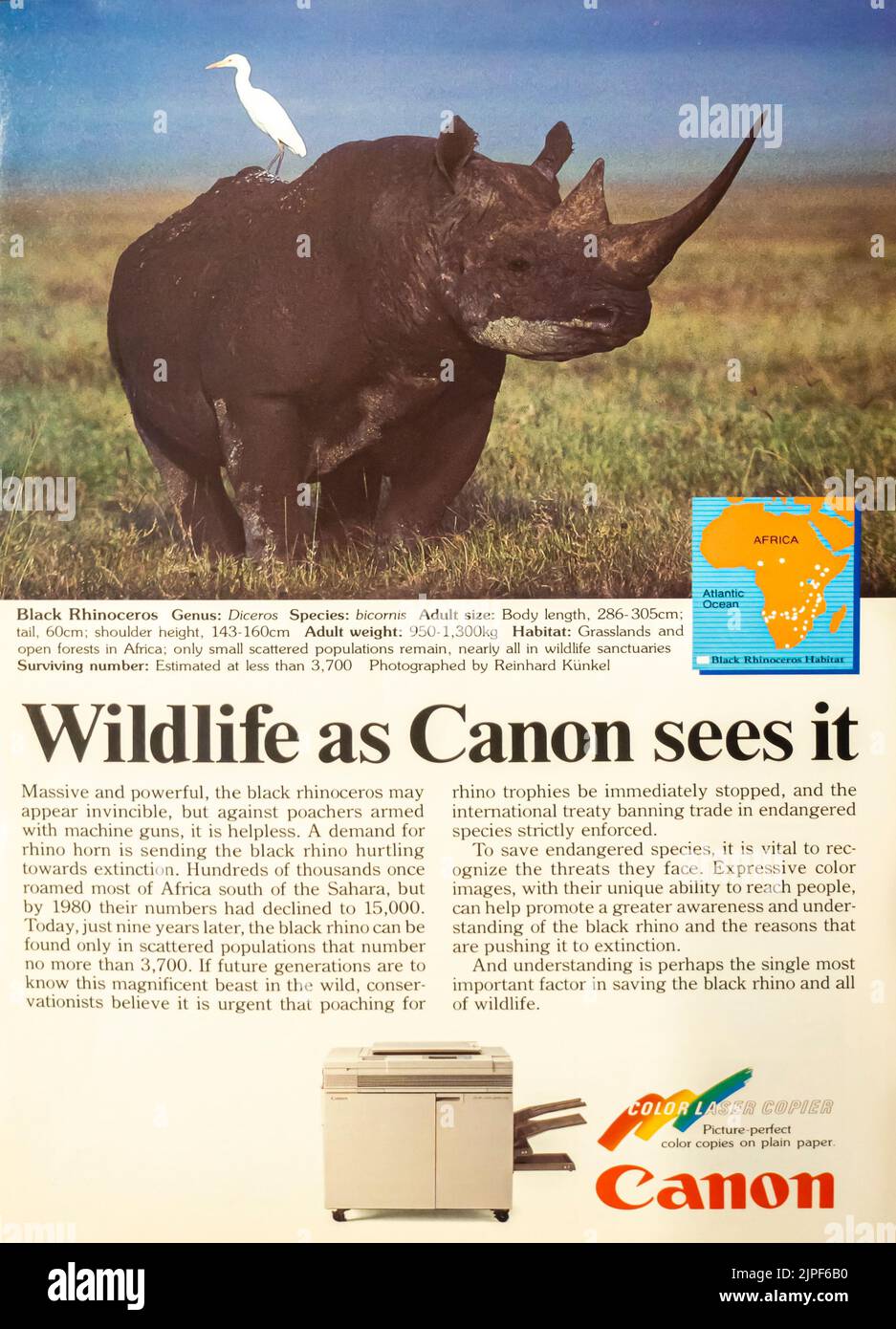 Canon copier advertisement placed inside a NatGeo magazine, 1980s Stock ...