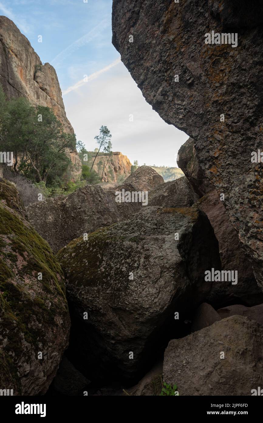 Moss Growing of Boulder Pile at Bear Gulch Cave in Pinnacles National ...