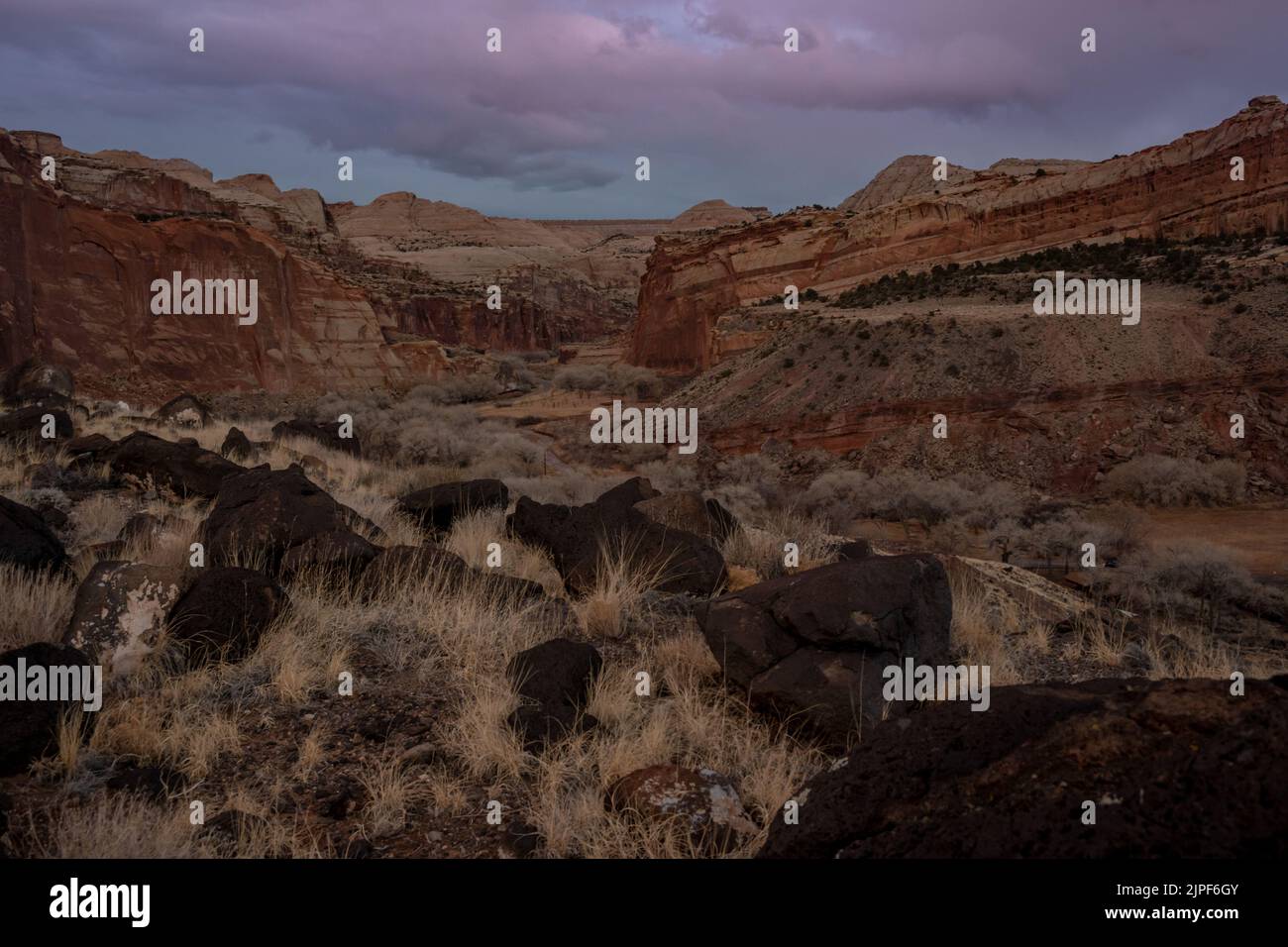 Orchards In The Valley Below The Orange Cliffs Of Capitol Reef National ...