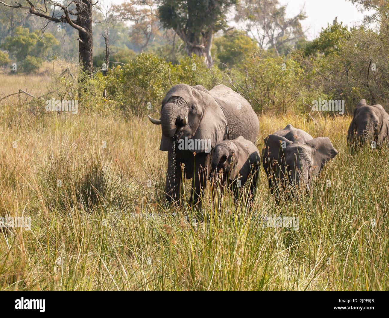 Co quietnservation hi-res stock photography and images - Alamy