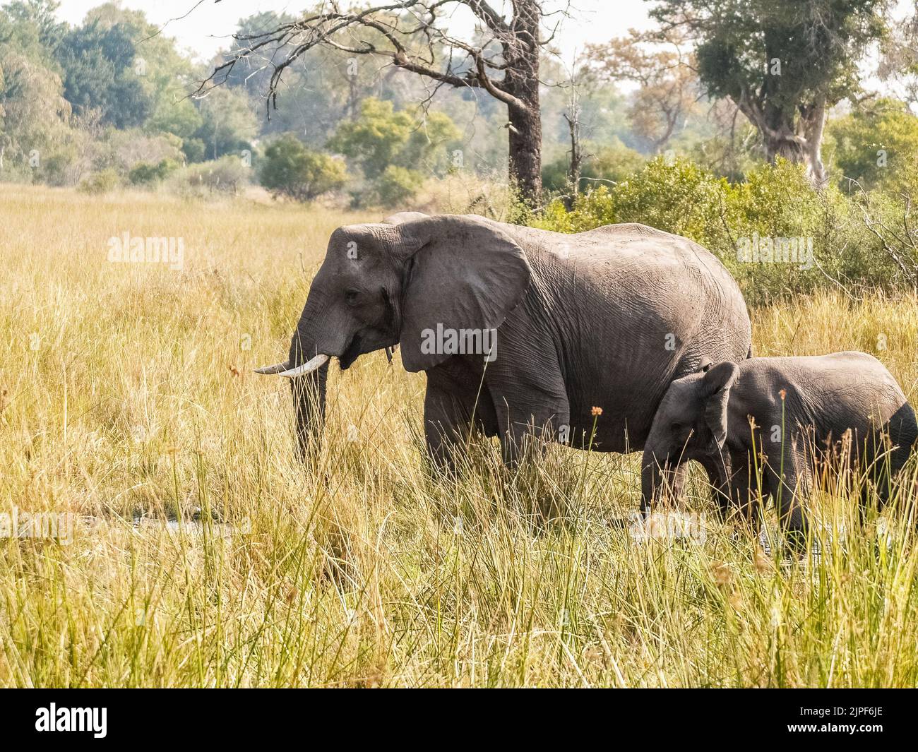 Co quietnservation hi-res stock photography and images - Alamy