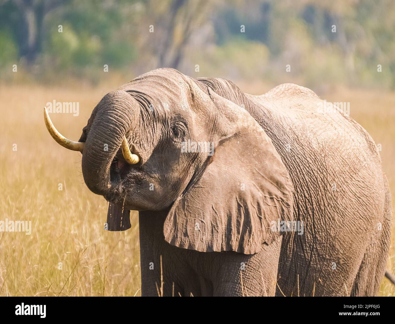 Co quietnservation hi-res stock photography and images - Alamy