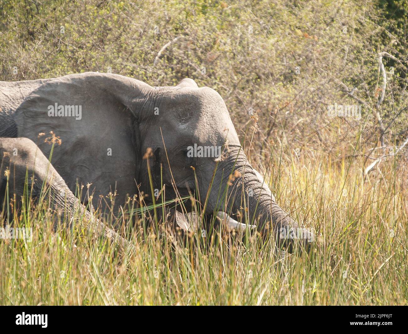 Co quietnservation hi-res stock photography and images - Alamy