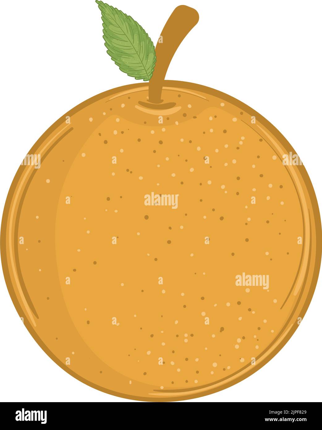 Isolated orange icon Fruits Healthy food Vector Stock Vector Image ...