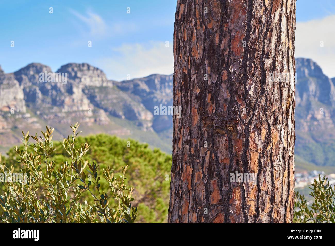 Images of the twelve apostles - Cape Town. The twelve apostles and ...