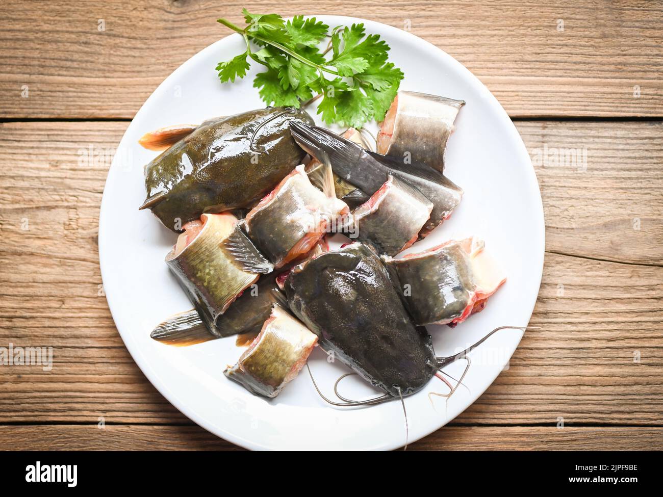 catfish fillet on white plate, fresh raw catfish menu freshwater fish ...