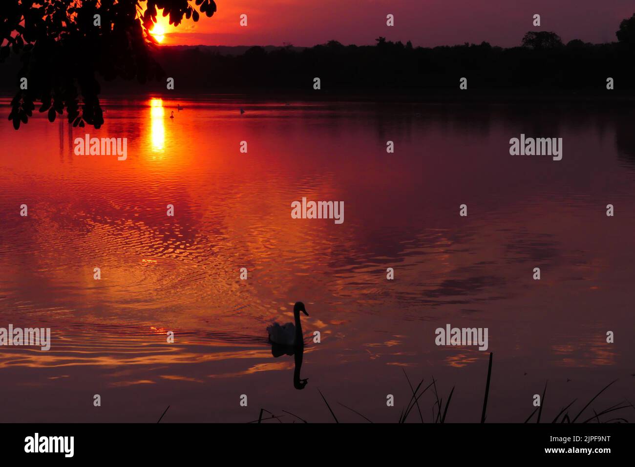Dawn over swan river hi-res stock photography and images - Alamy