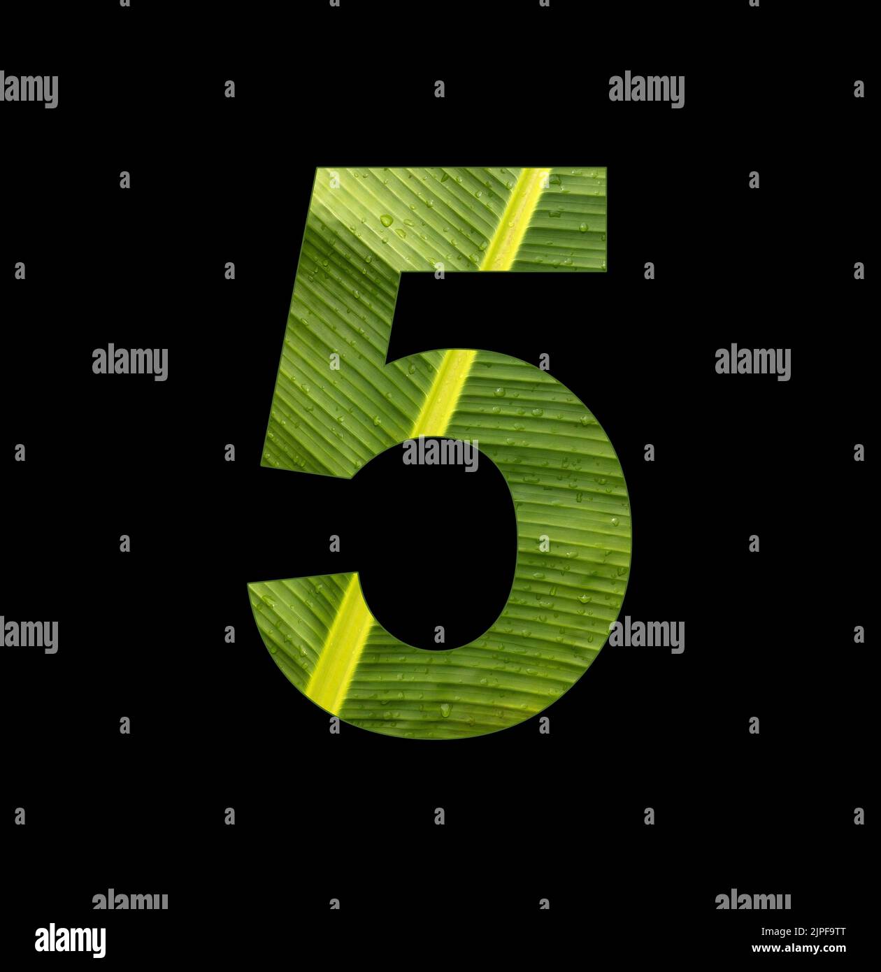 Number 5, digit on banana plant leaf background Stock Photo - Alamy