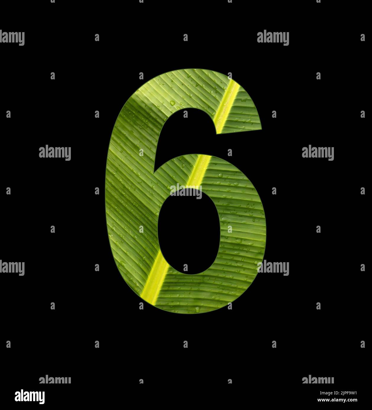 Number 6, digit on banana plant leaf background Stock Photo - Alamy