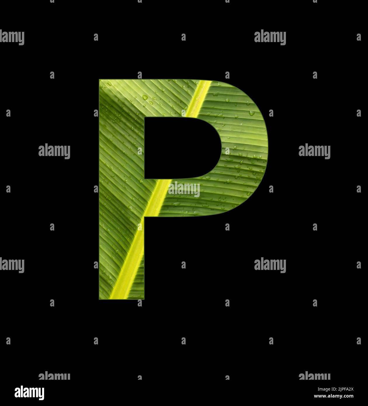Alphabet letter P - Banana leaf background, natural background Stock ...
