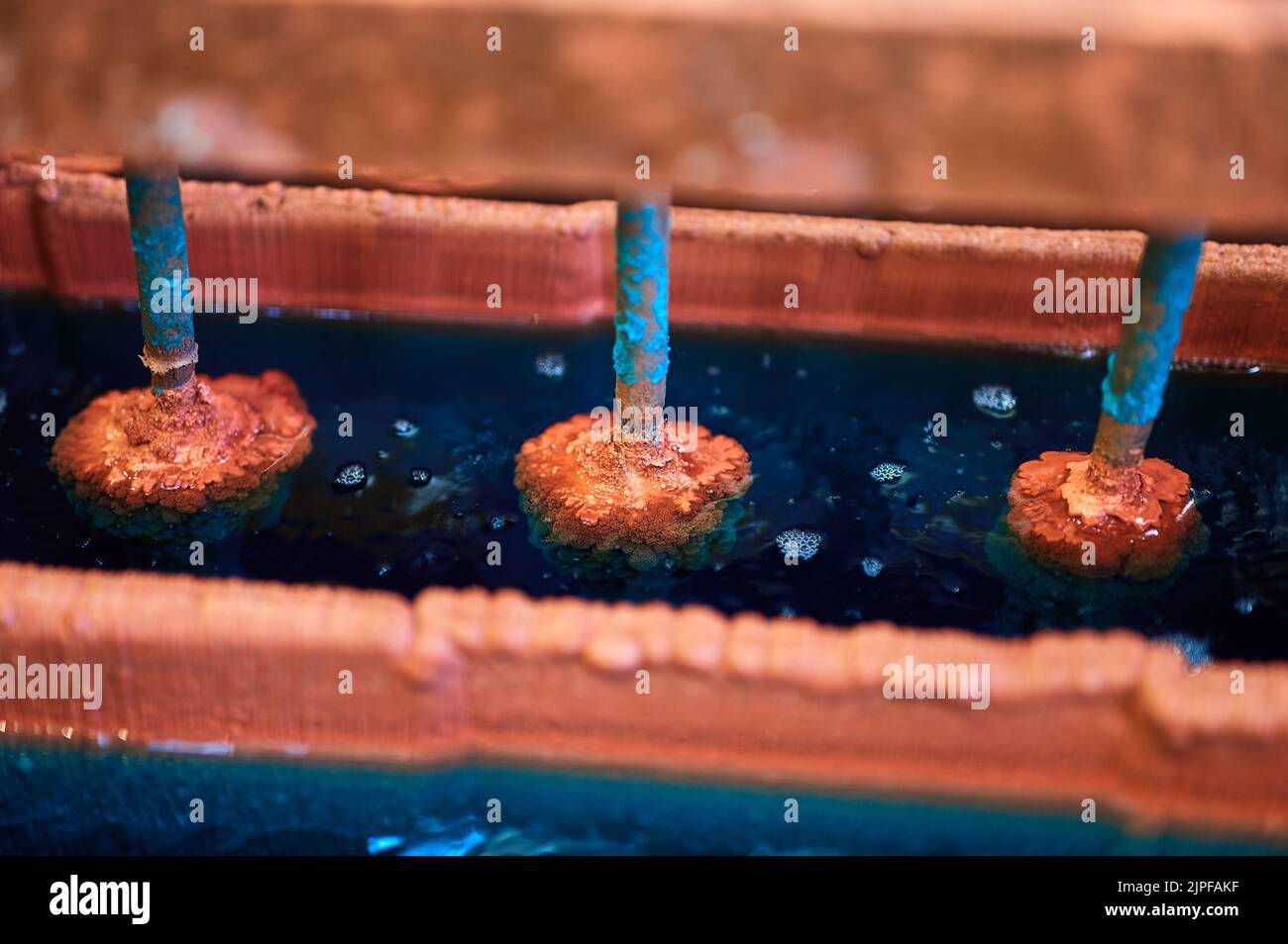Metal cathodes covered with overgrowth copper powder Stock Photo - Alamy
