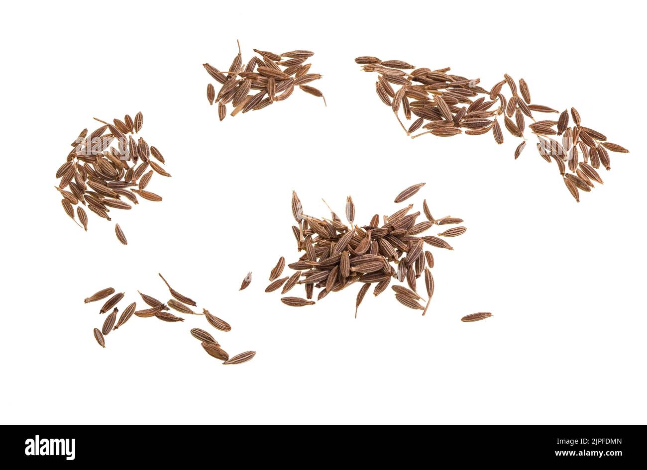 Cumin is a flowering plant, Cuminum cyminum, in the family Apiaceae ...