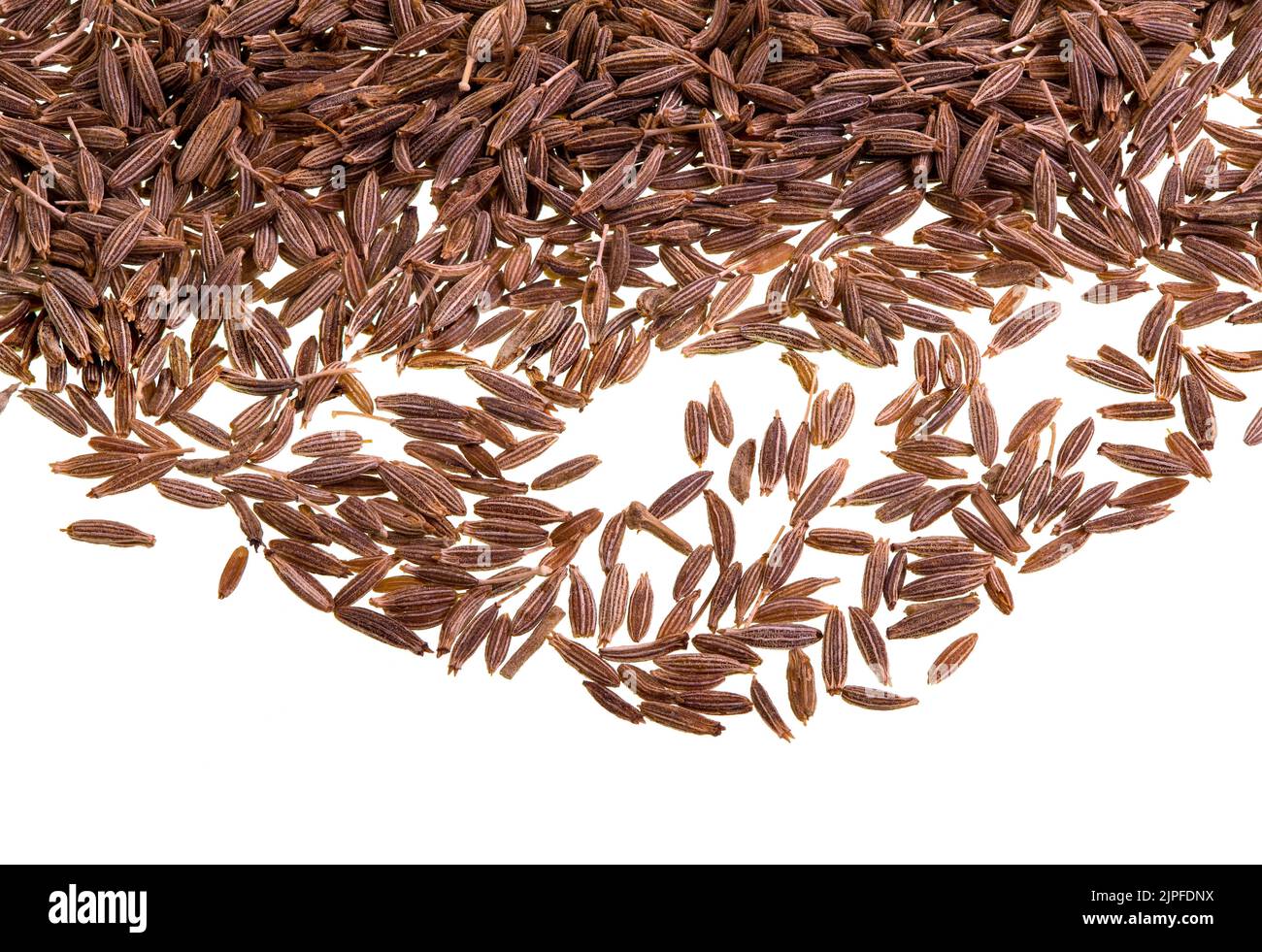 Cumin is a flowering plant, Cuminum cyminum, in the family Apiaceae ...